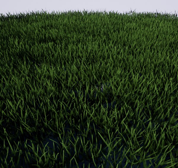 Free Low Poly 3D Grass Models | TurboSquid