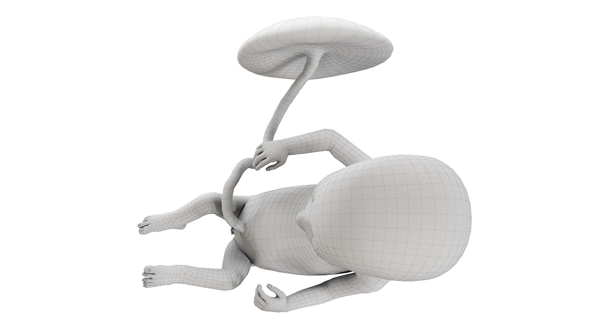 Fetus Week 14 Animated 3D Model - TurboSquid 1861951