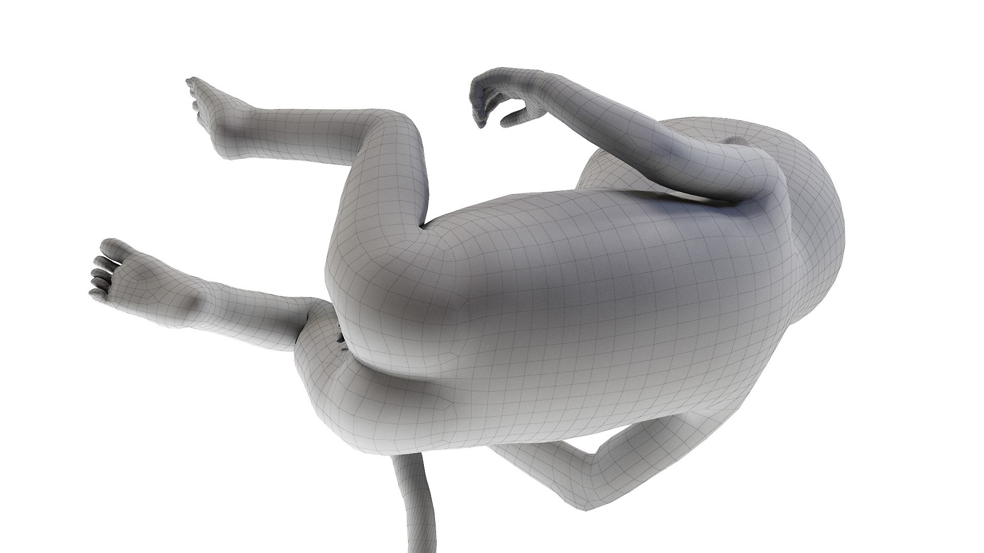 Fetus Week 14 Animated 3D Model - TurboSquid 1861951