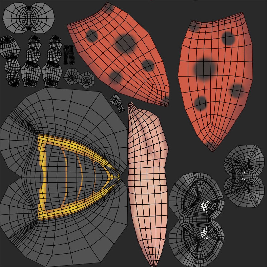 3D Model Ladybug Rigged And Animated - TurboSquid 2290674