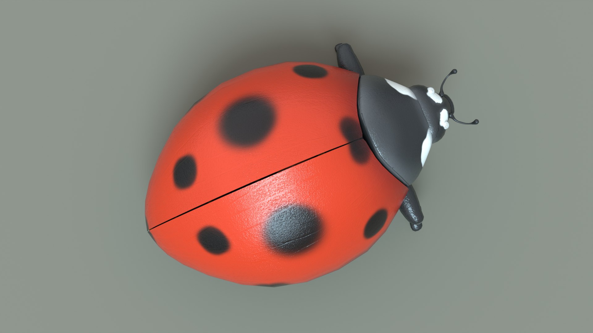 3D Model Ladybug Rigged And Animated - TurboSquid 2290674