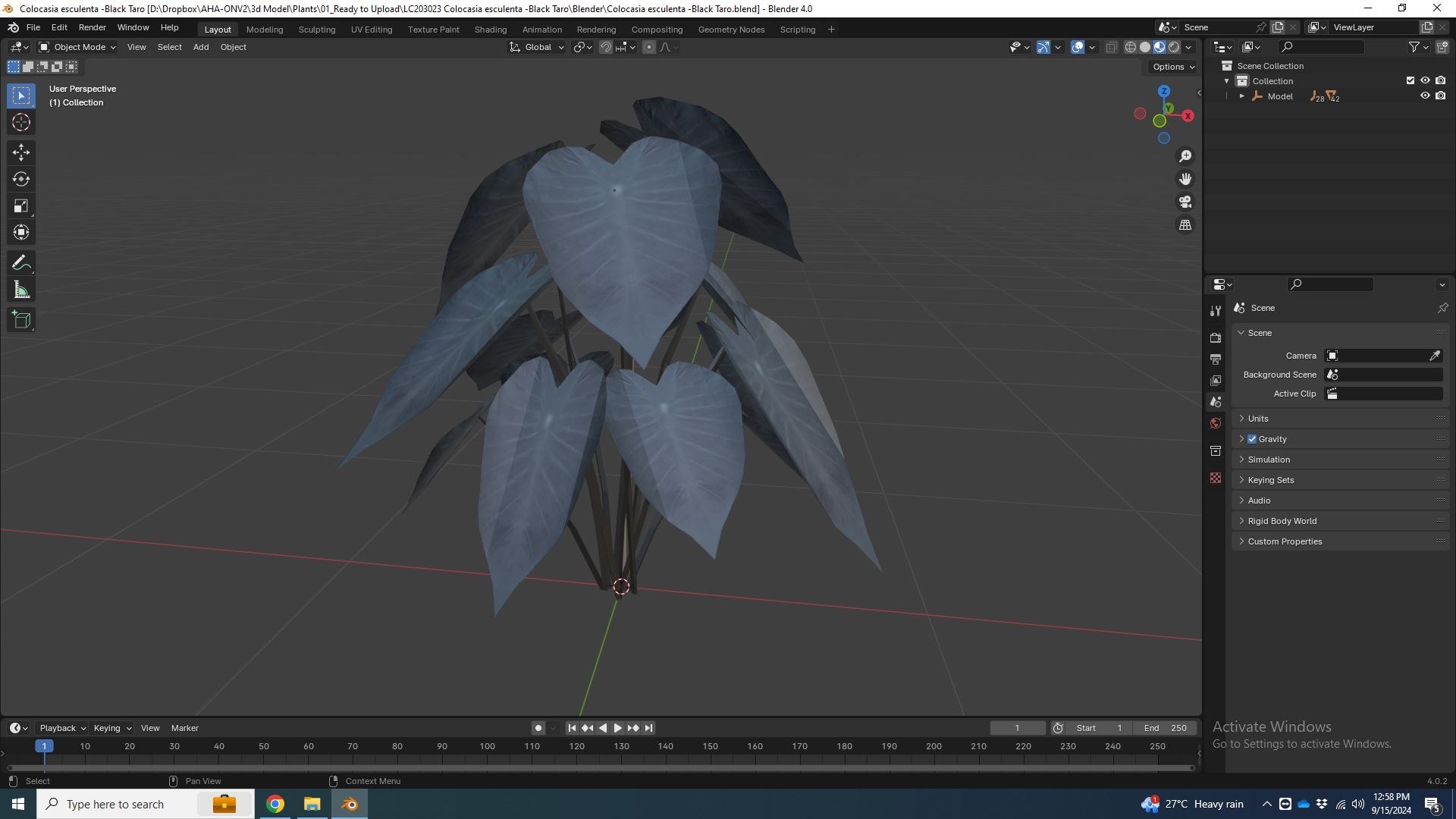 Colocasia Esculenta -Black Taro 3D Model - TurboSquid 2281449