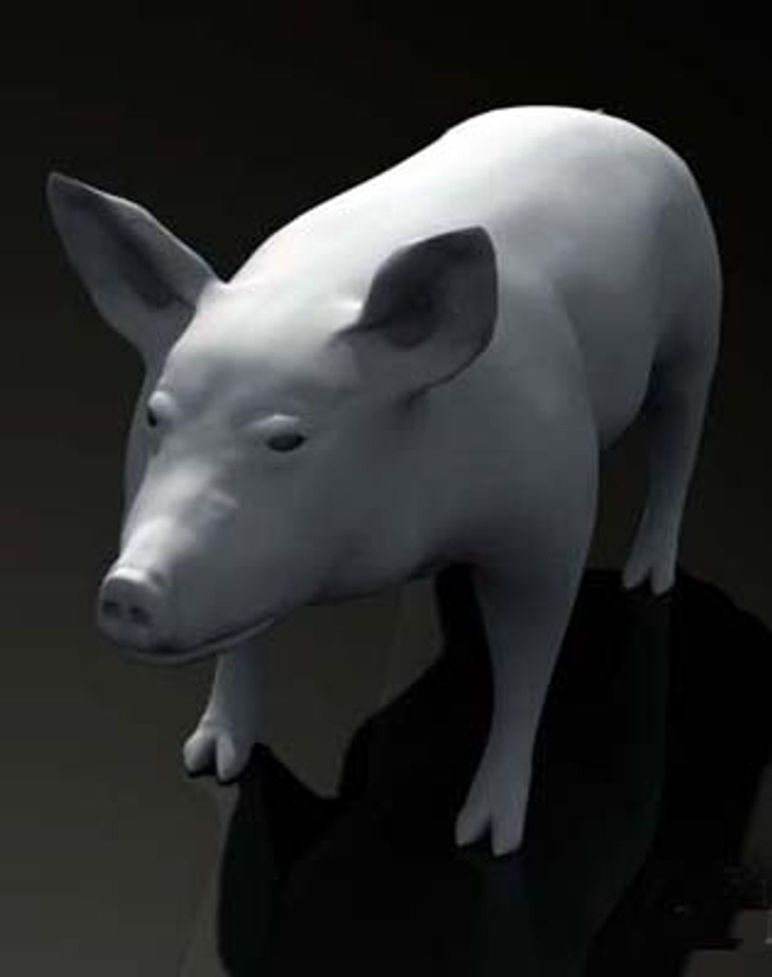 3ds Max Pig Sow