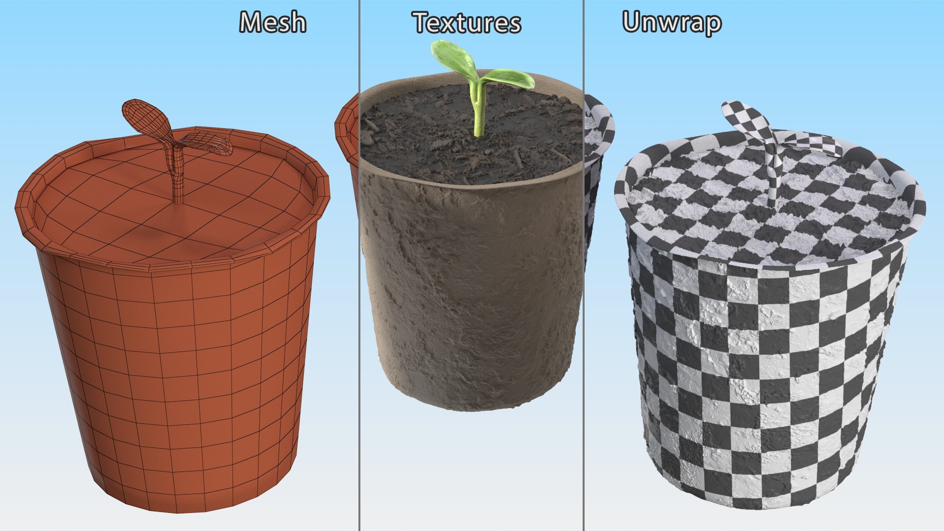 3D Seedling In Round Peat Pot With Soil Model - TurboSquid 2411000