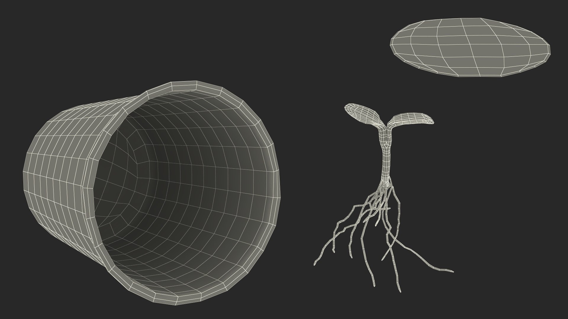 3D Seedling In Round Peat Pot With Soil Model - TurboSquid 2411000