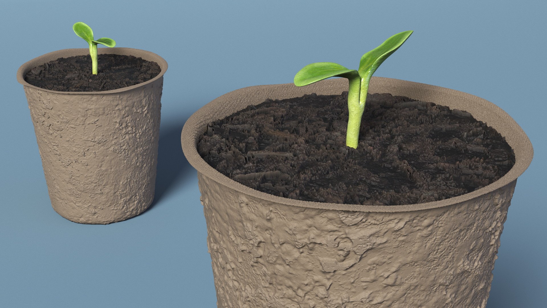3D Seedling In Round Peat Pot With Soil Model - TurboSquid 2411000