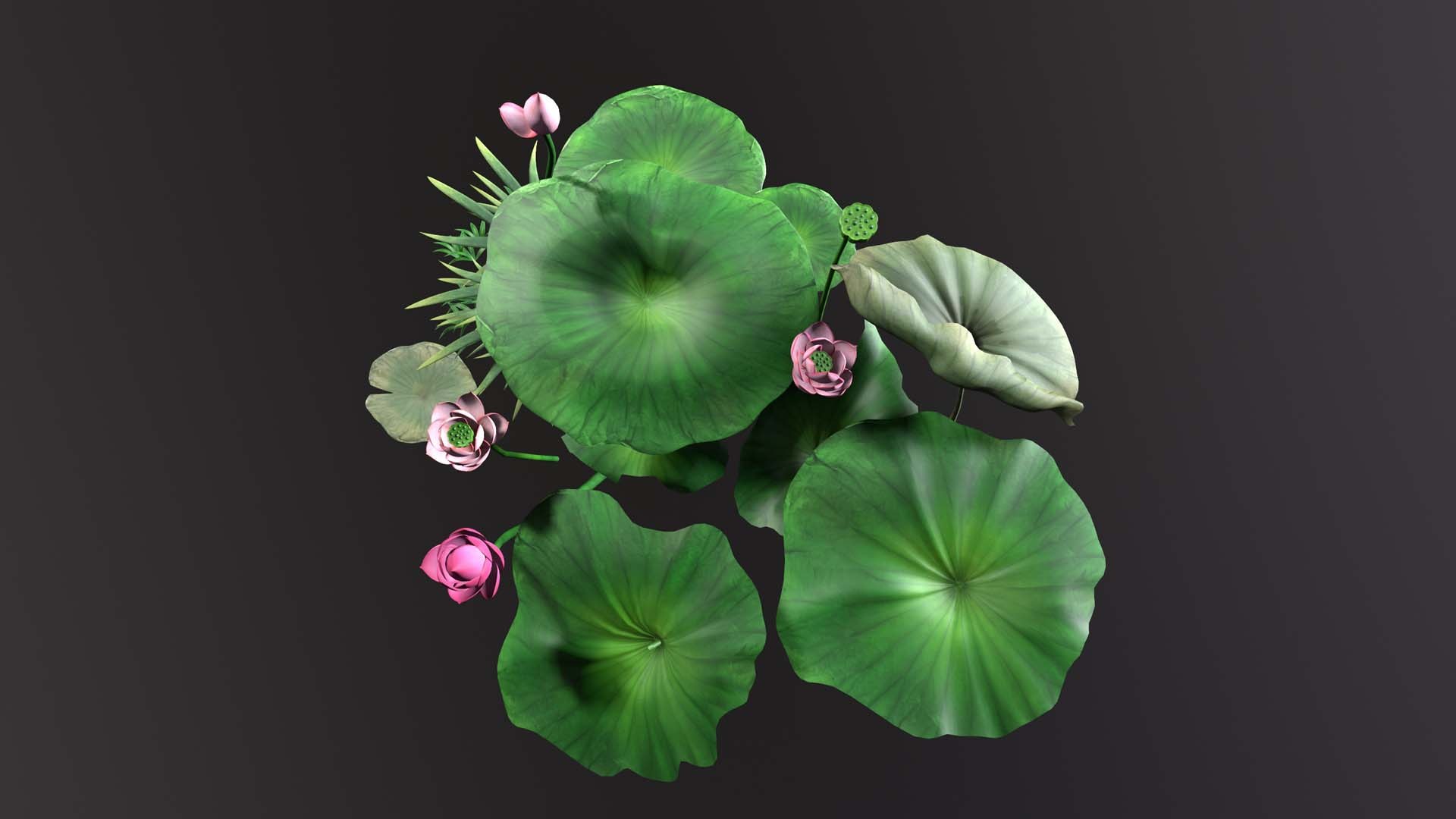 3D Lotus Model - TurboSquid 2218772