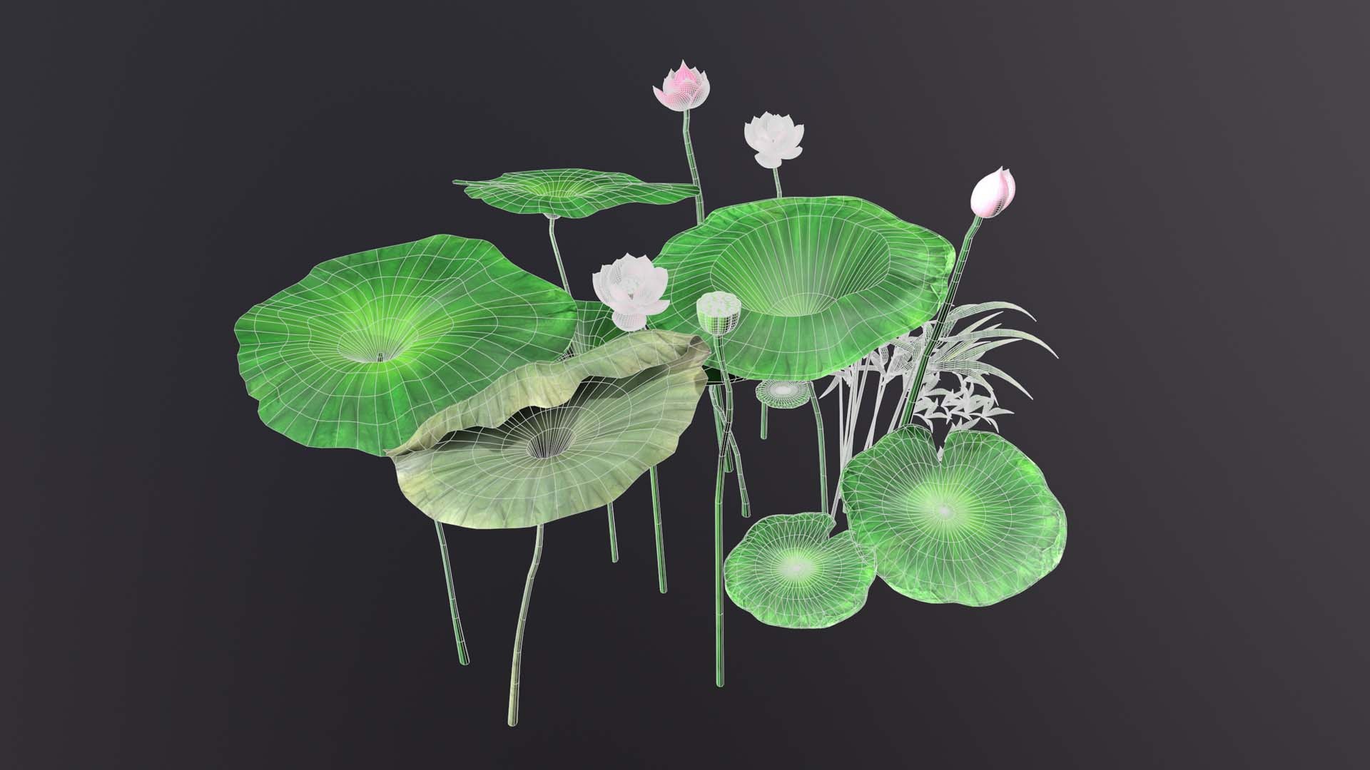 3D Lotus Model - TurboSquid 2218772