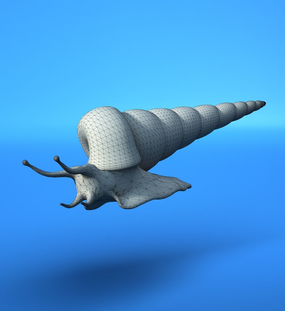 3d model snail