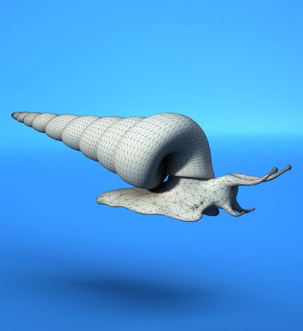 3d model snail