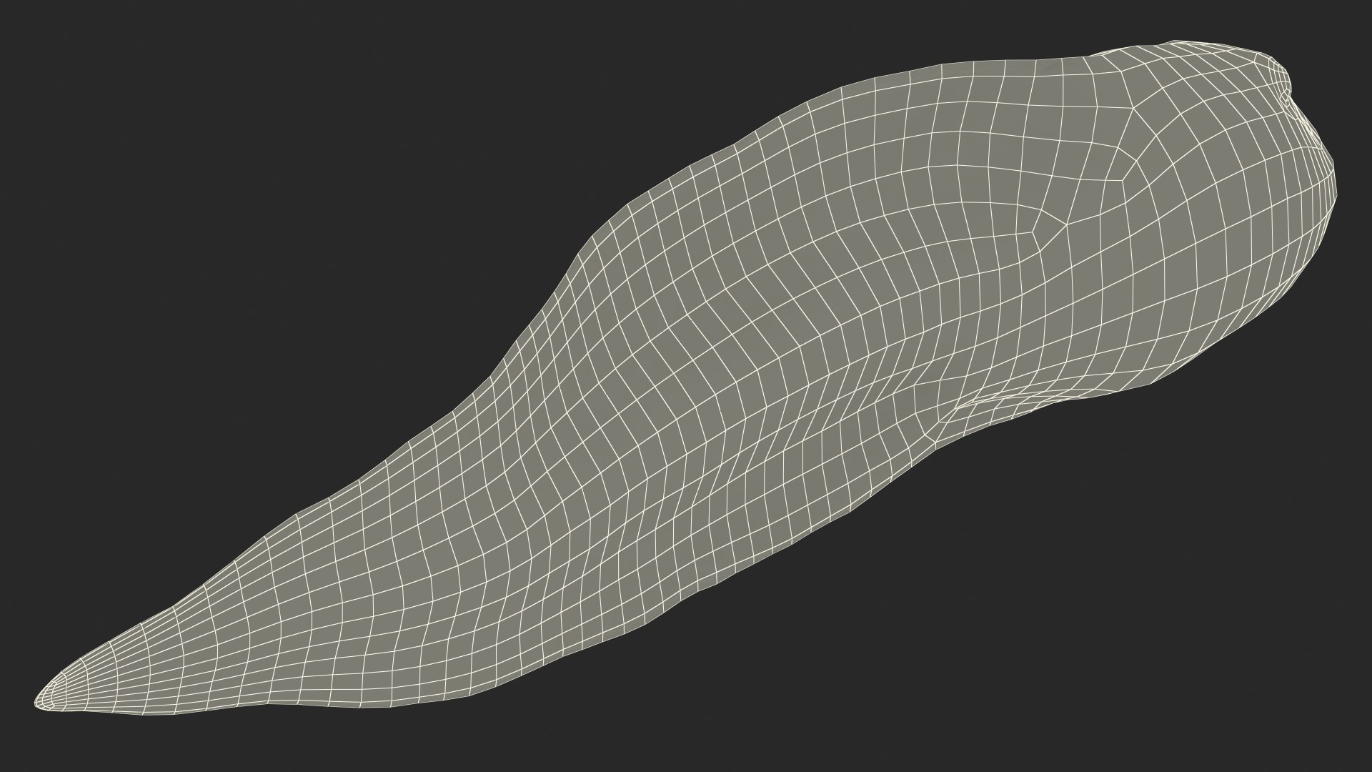 Tadpole 3D Model - TurboSquid 1719486