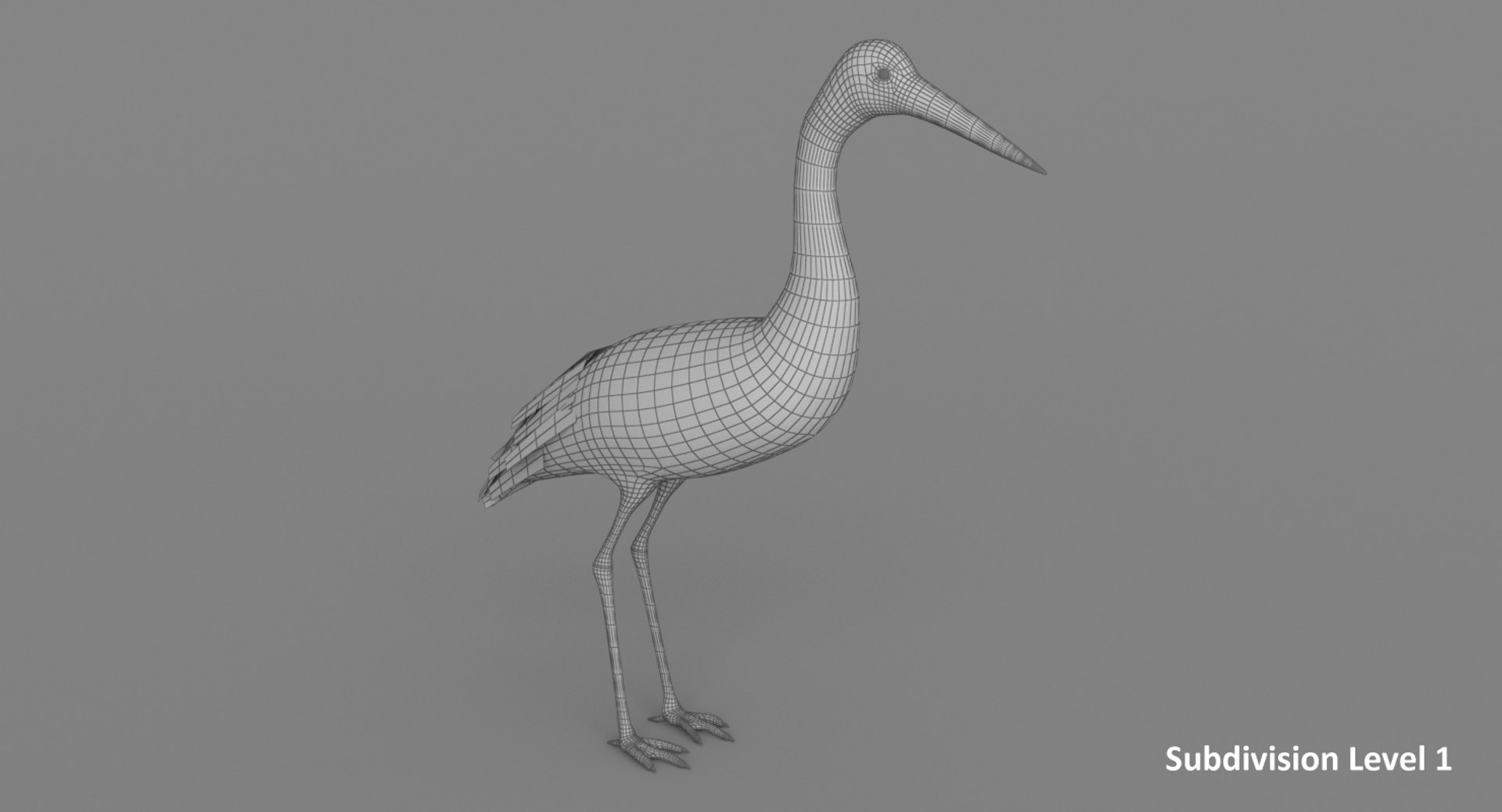 Stork Bird Animal 3D Model - TurboSquid 1282150