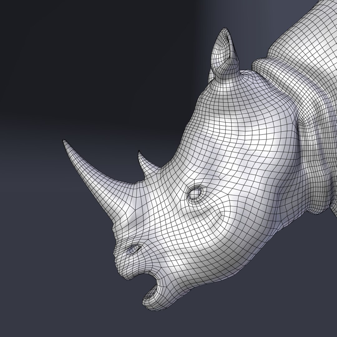 3d Rhinoceros Animations Model