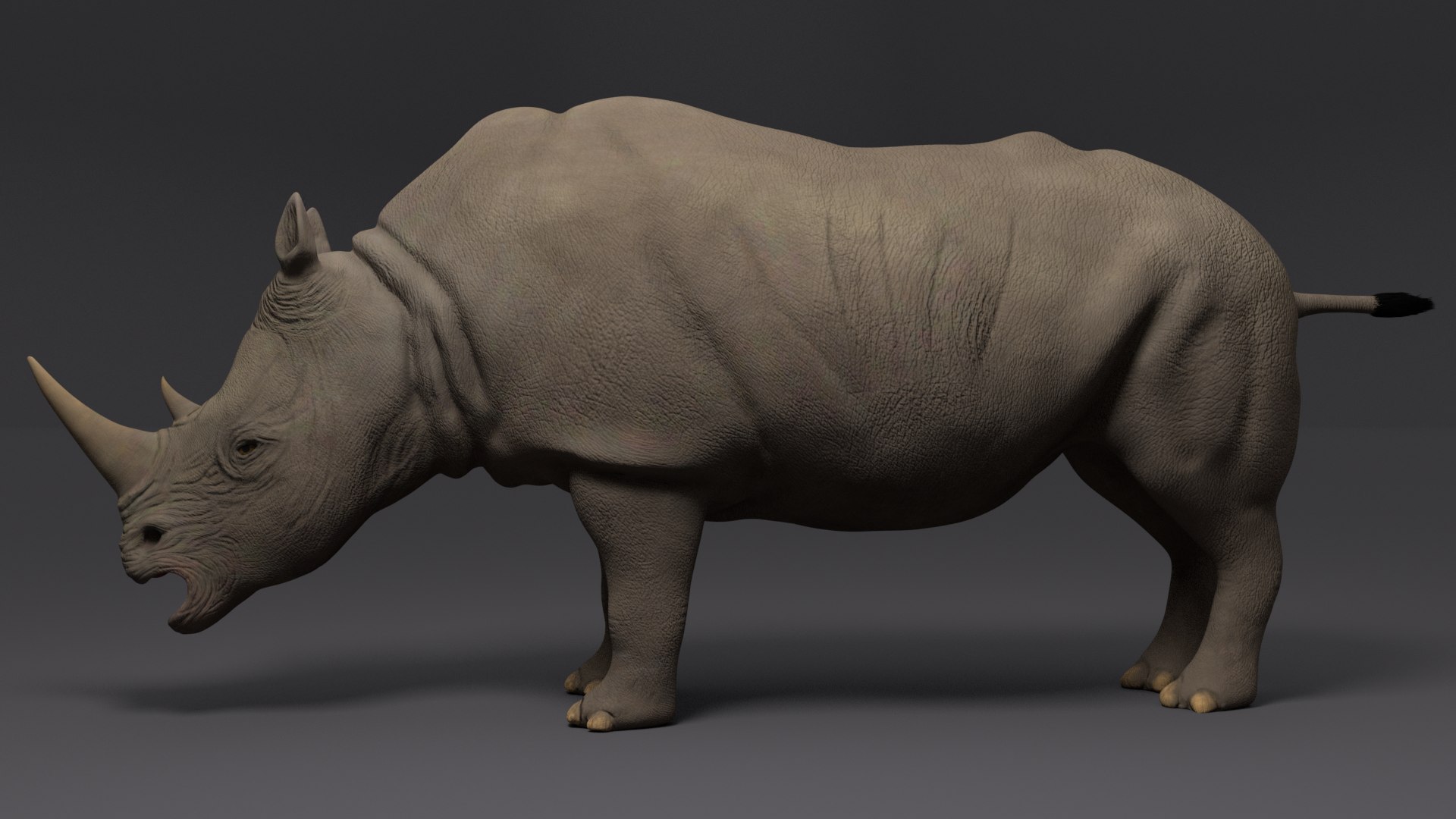 3d Rhinoceros Animations Model