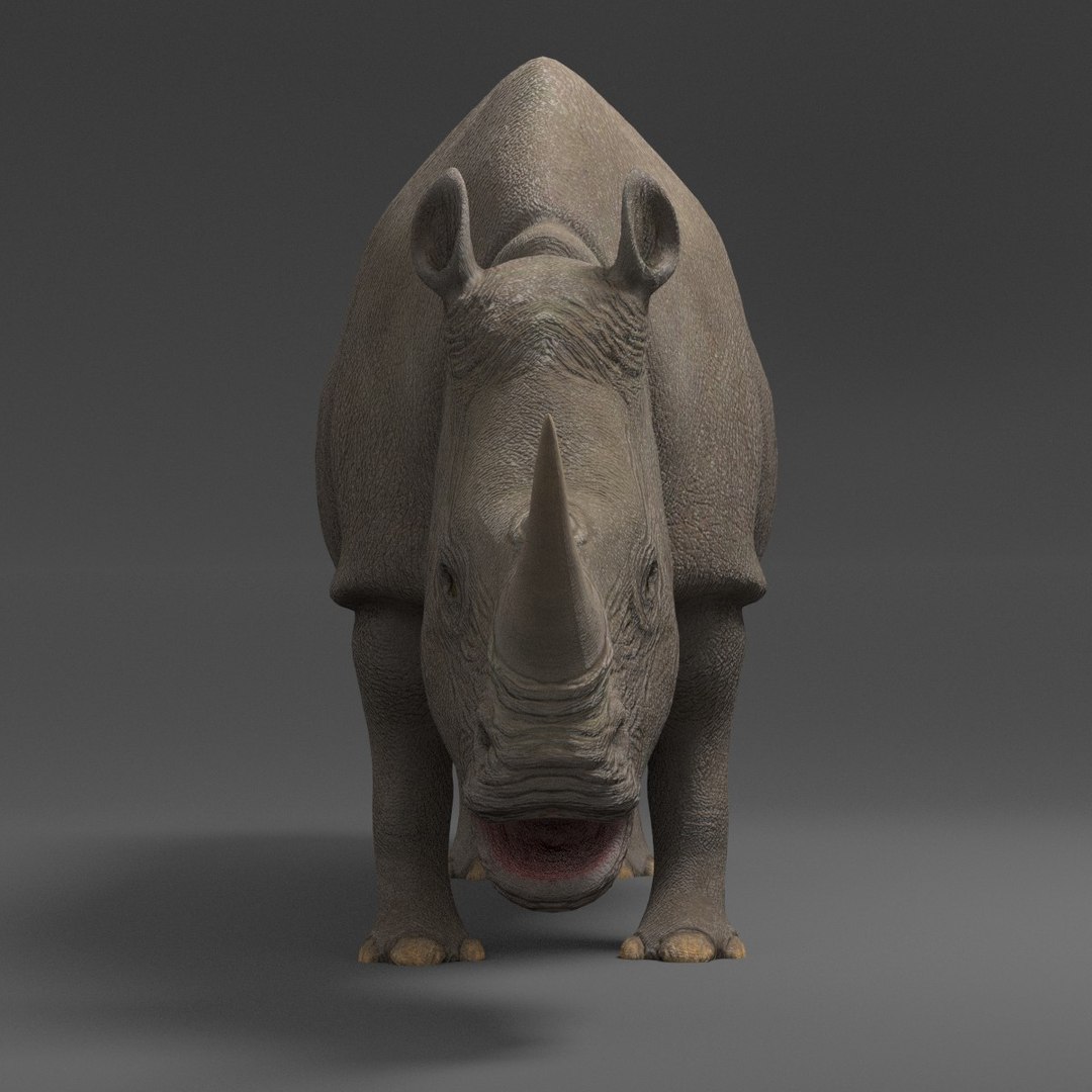 3d Rhinoceros Animations Model