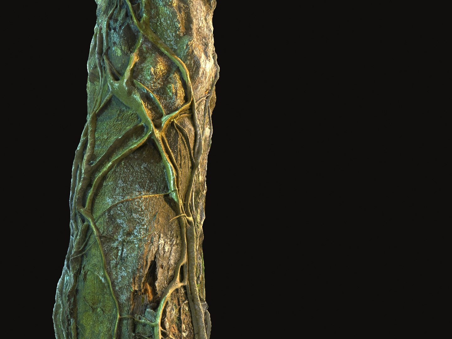 Old Jungle Tree Bark Model - TurboSquid 1467995