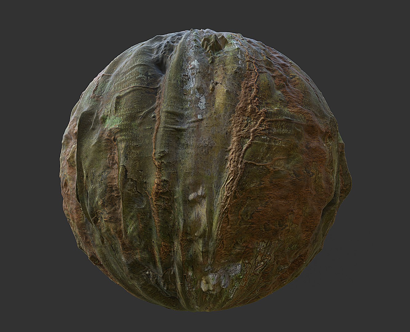 Old Jungle Tree Bark Model - TurboSquid 1467995