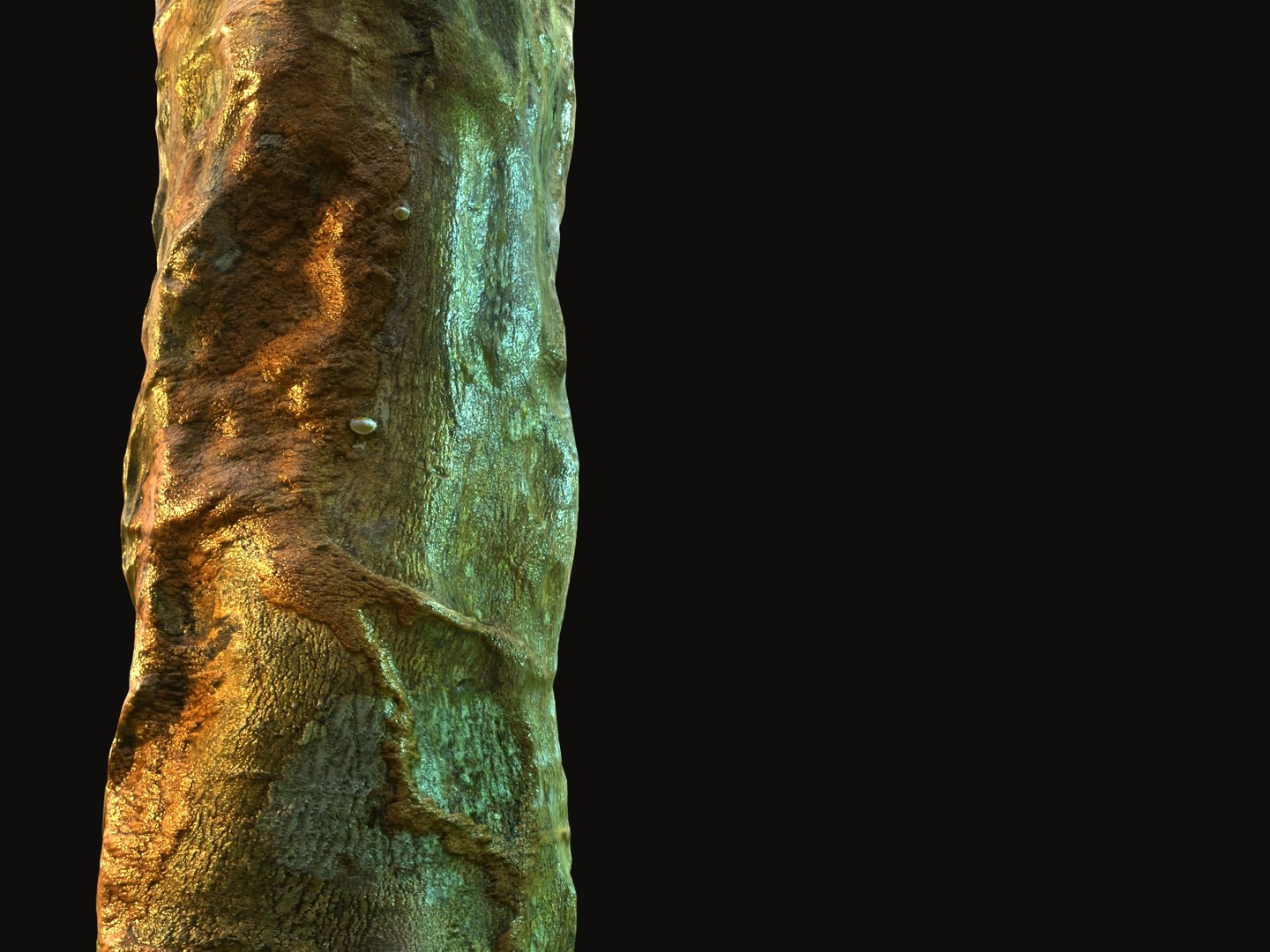 Old Jungle Tree Bark Model - TurboSquid 1467995