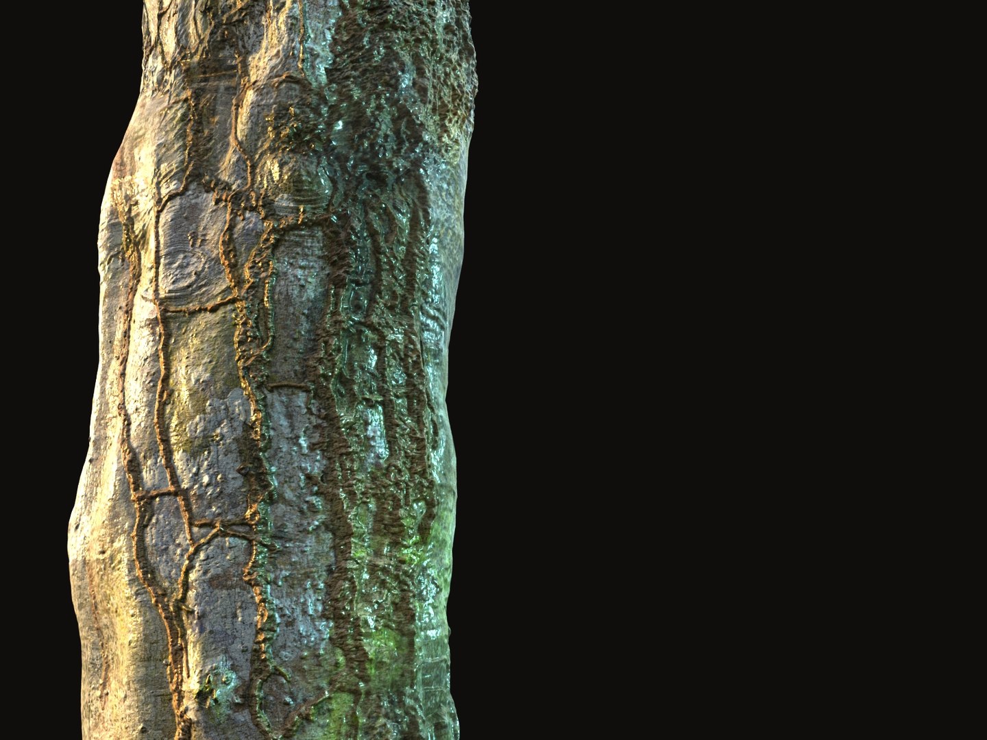 Old Jungle Tree Bark Model - TurboSquid 1467995