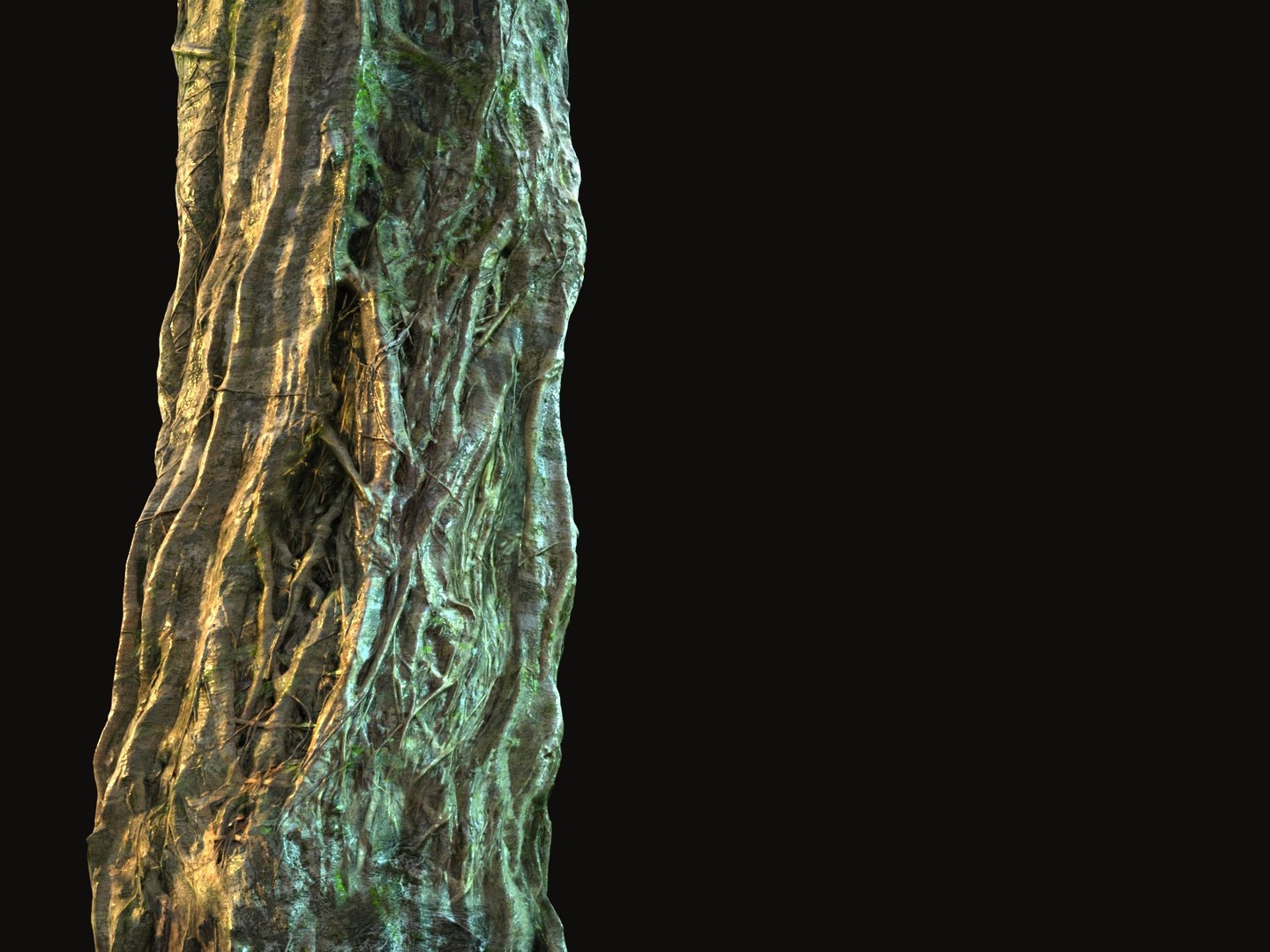 Old Jungle Tree Bark Model - TurboSquid 1467995