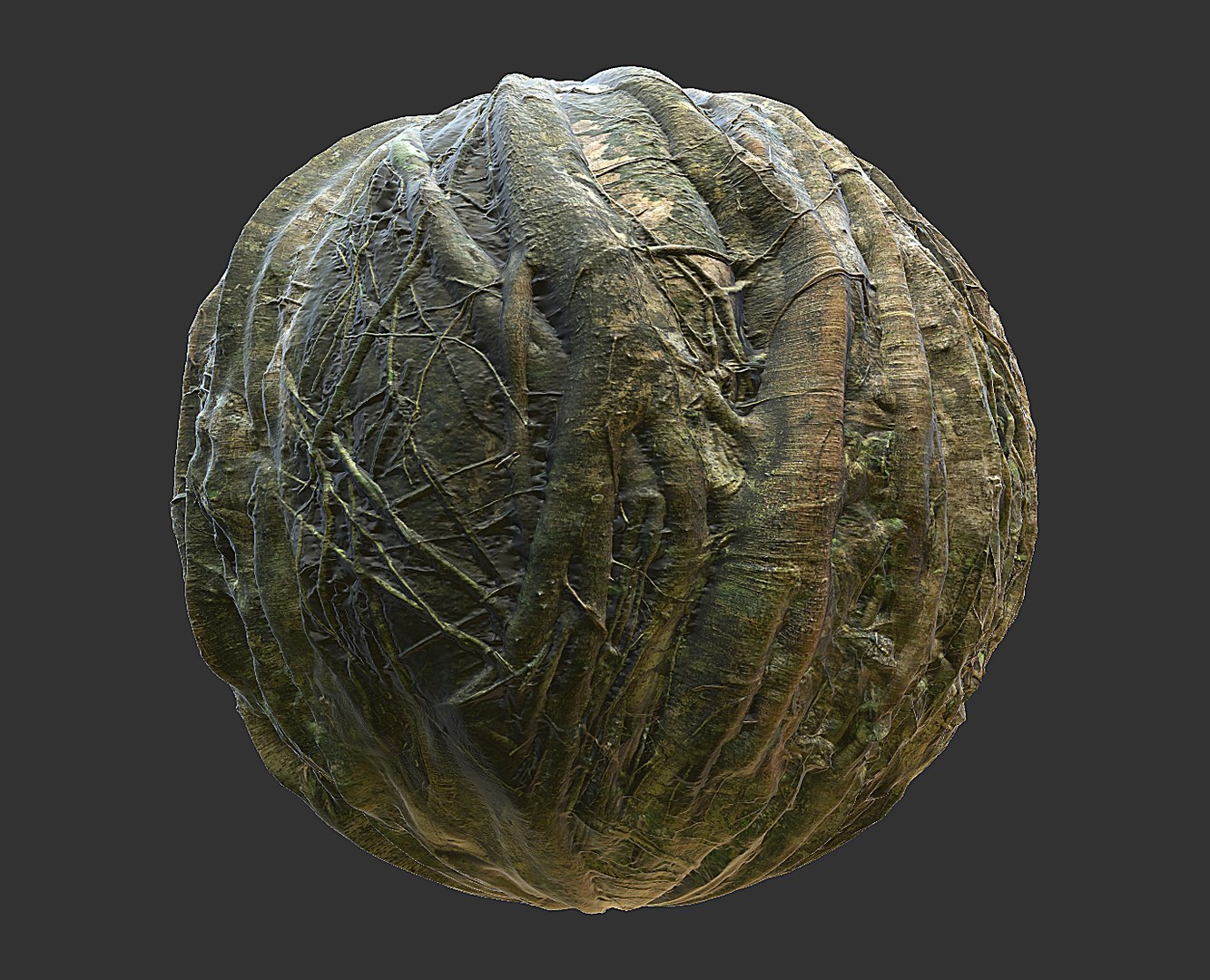 Old Jungle Tree Bark Model - TurboSquid 1467995