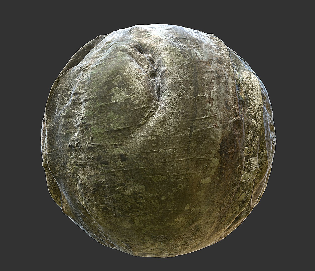 Old Jungle Tree Bark Model - TurboSquid 1467995