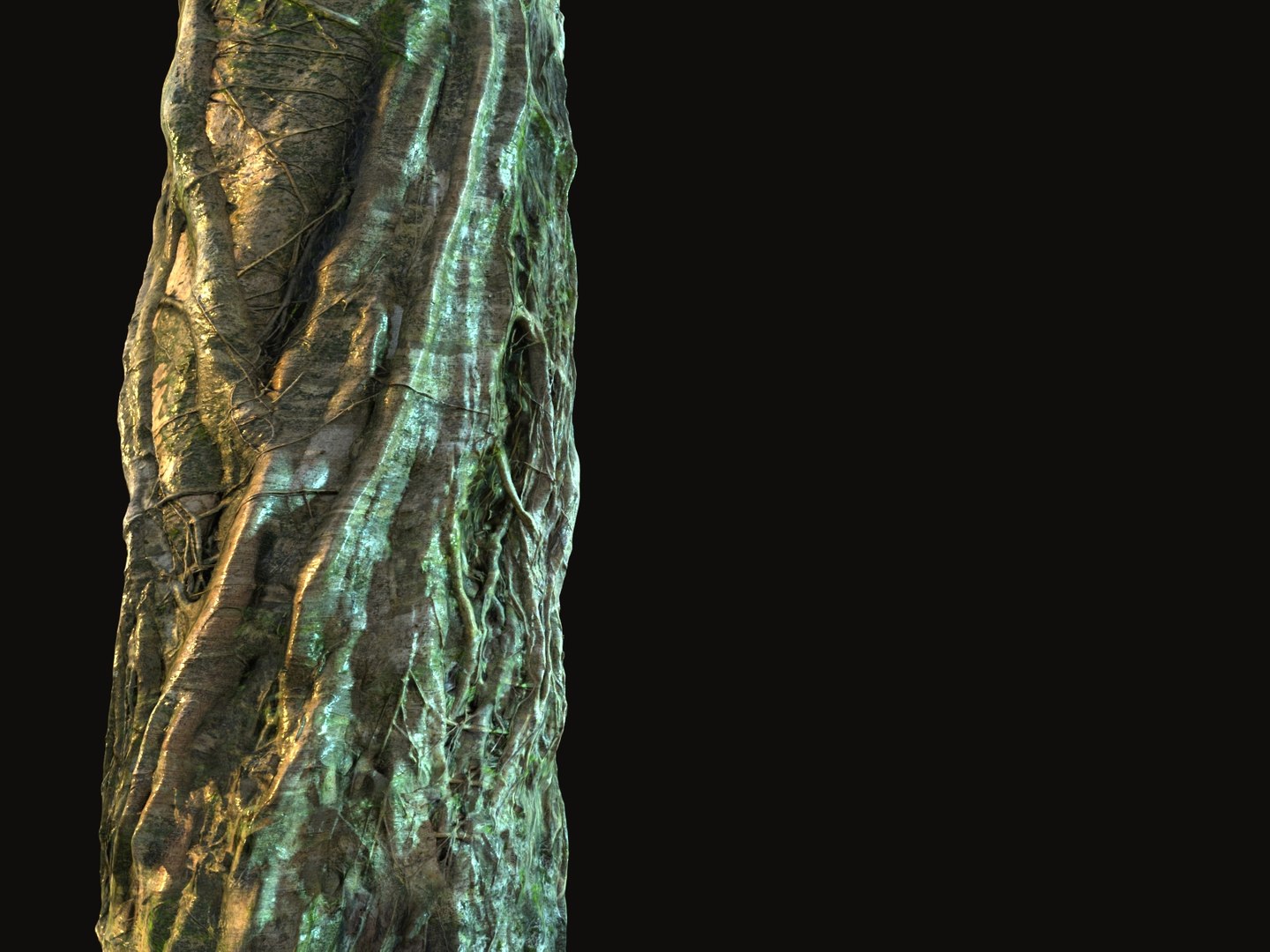 Old Jungle Tree Bark Model - TurboSquid 1467995