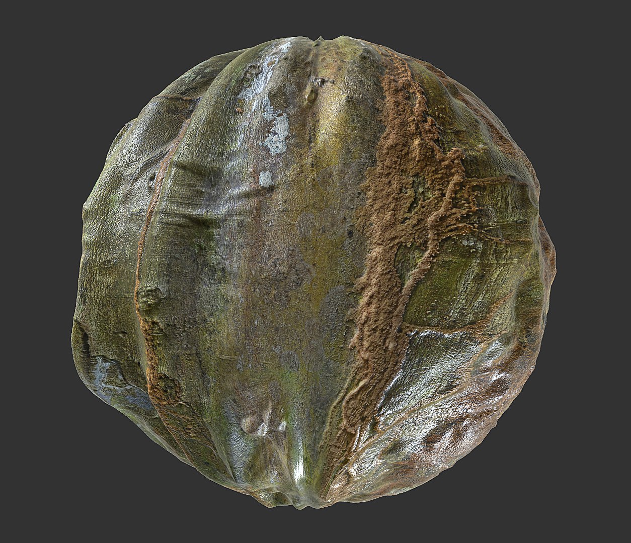 Old Jungle Tree Bark Model - TurboSquid 1467995