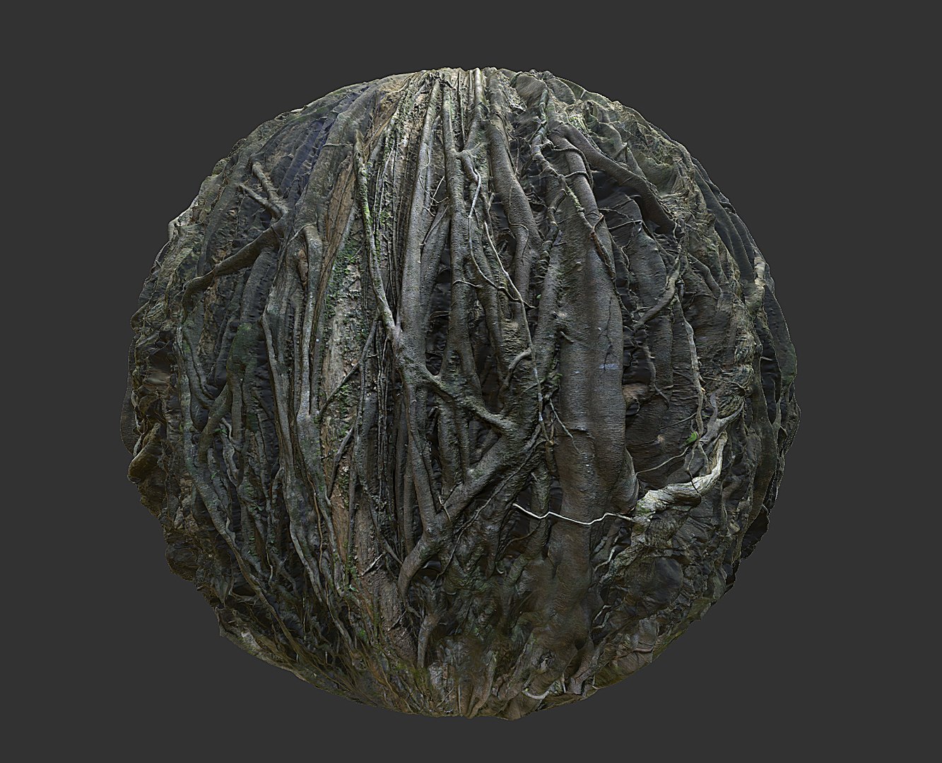 Old Jungle Tree Bark Model - TurboSquid 1467995