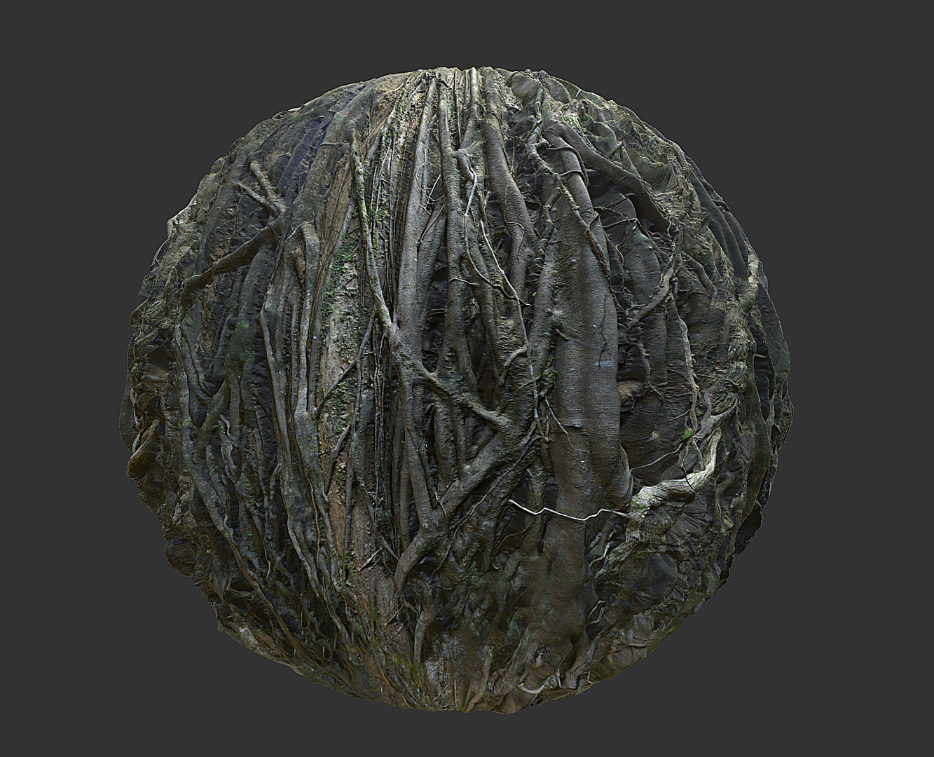 Old jungle tree bark model - TurboSquid 1467995