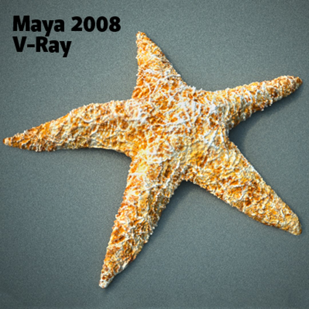 3d starfish star fish