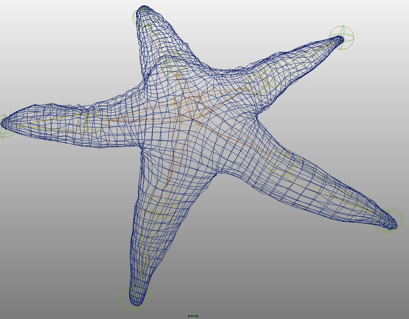 3d starfish star fish