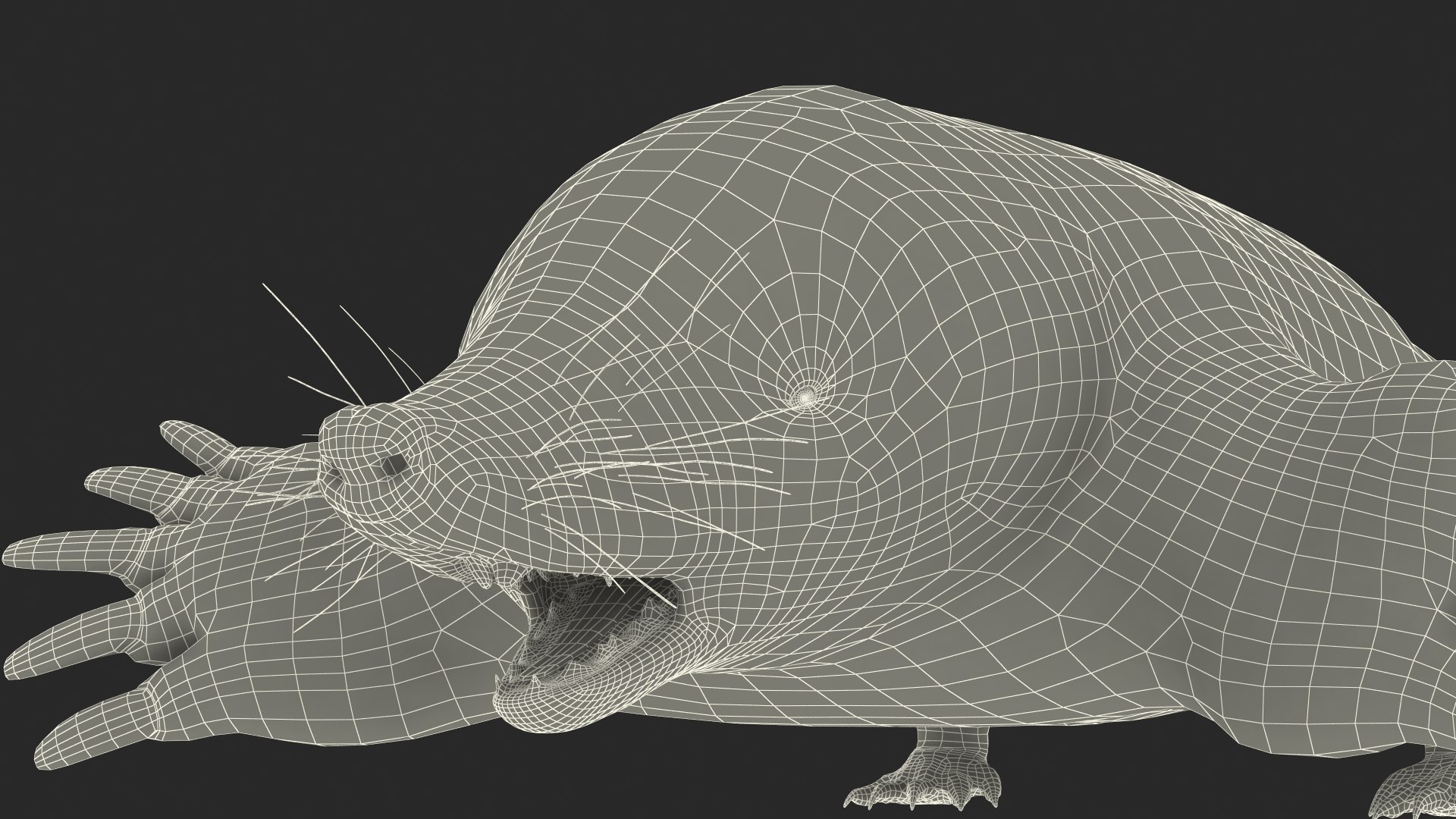 Talpa Europaea Fur 3D Model - TurboSquid 2220709