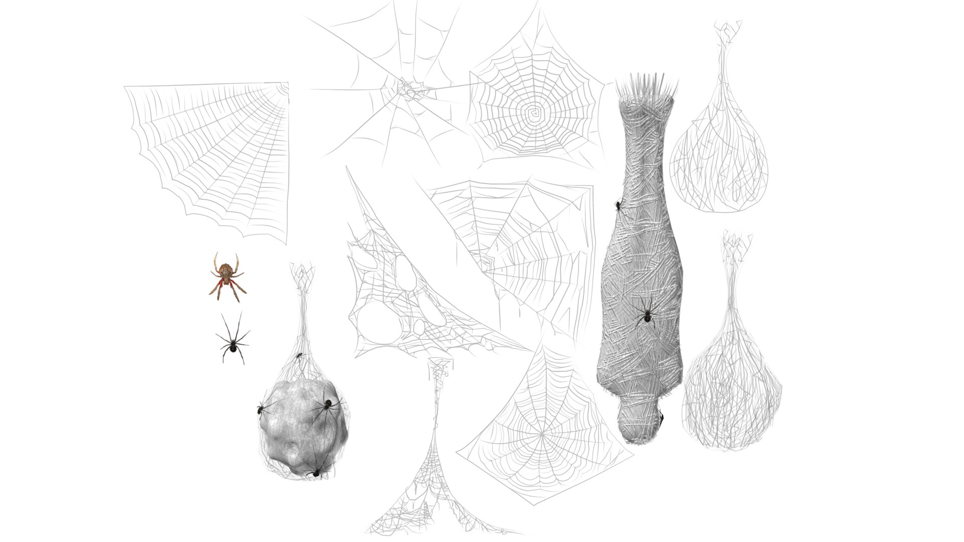 Cobweb Collection 3D Model - TurboSquid 1749718