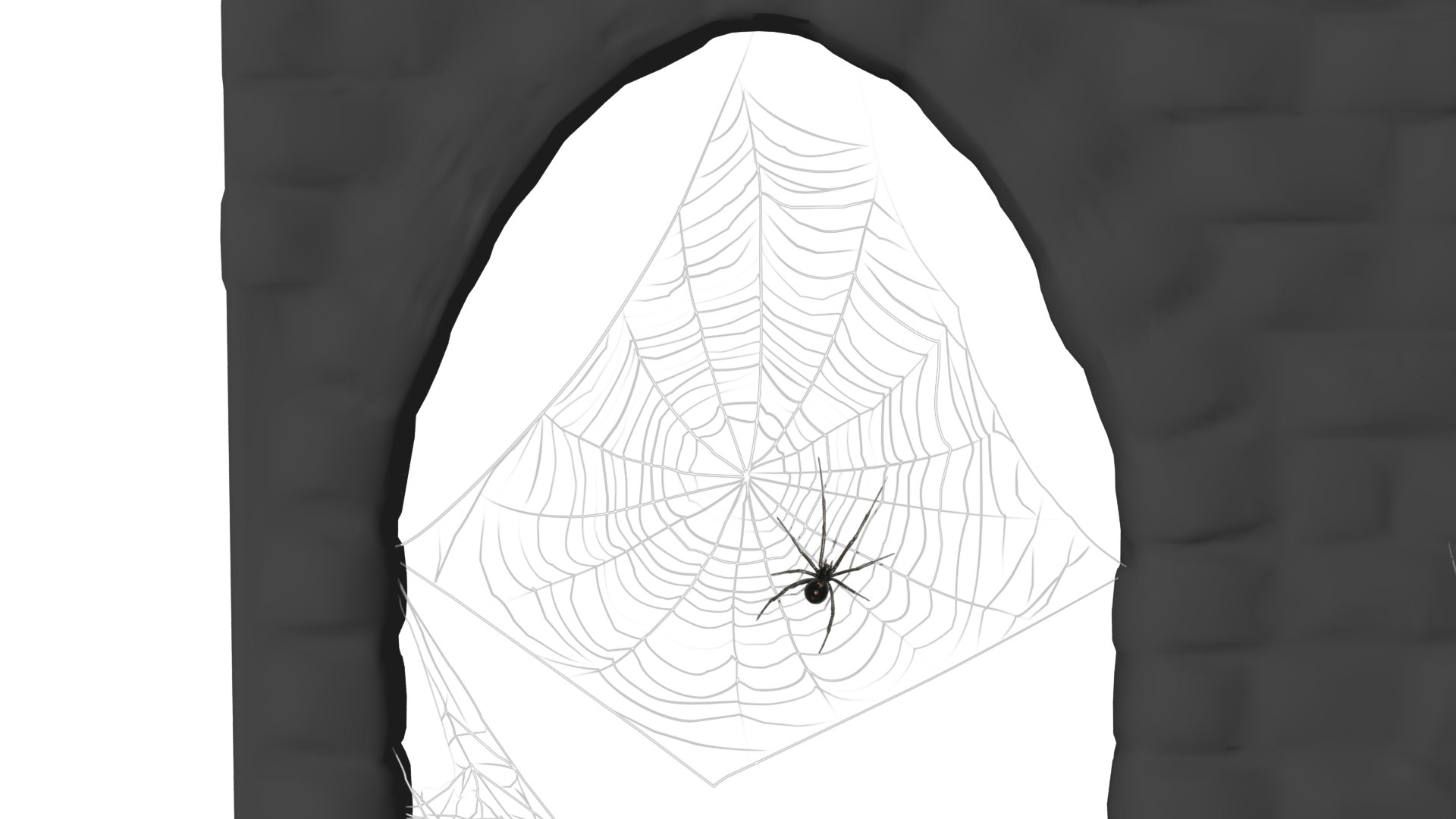 Cobweb Collection 3D Model - TurboSquid 1749718