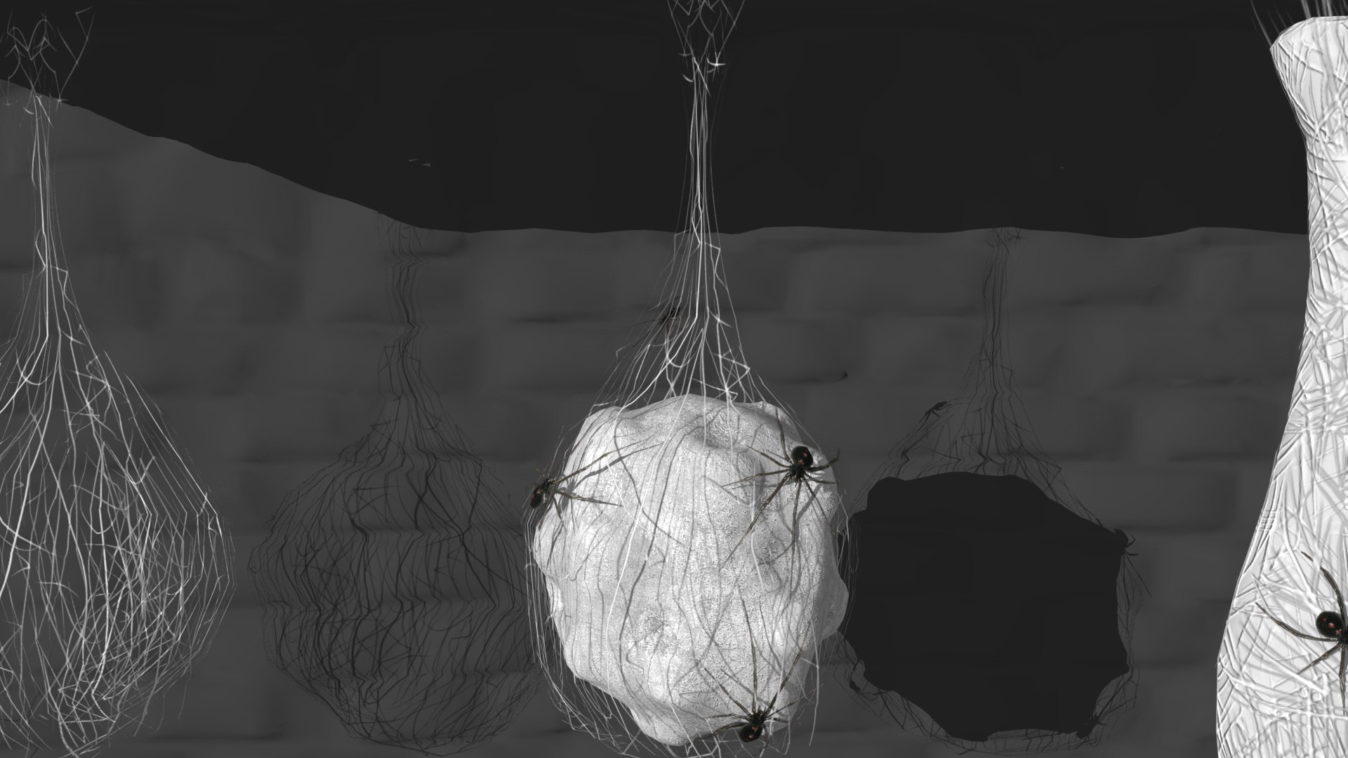 Cobweb Collection 3D Model - TurboSquid 1749718