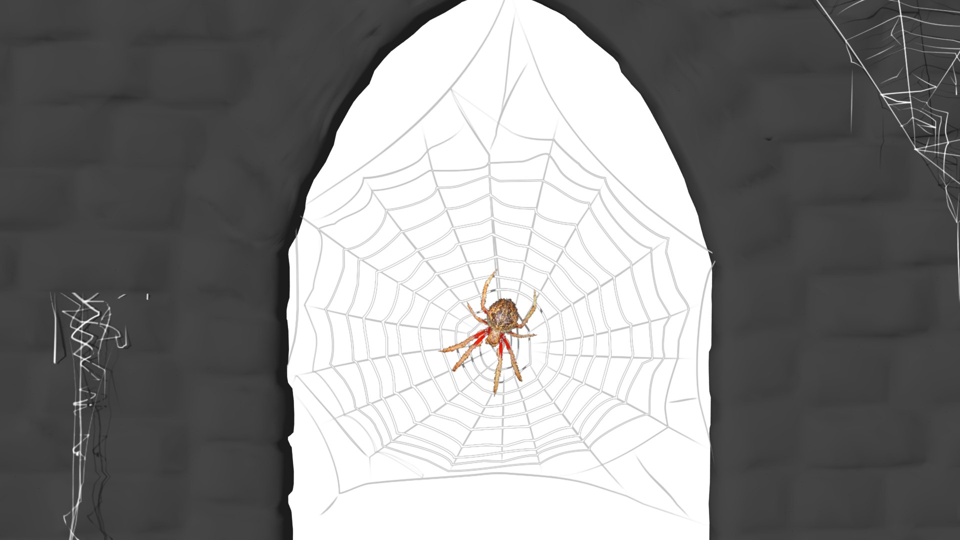 Cobweb Collection 3D Model - TurboSquid 1749718