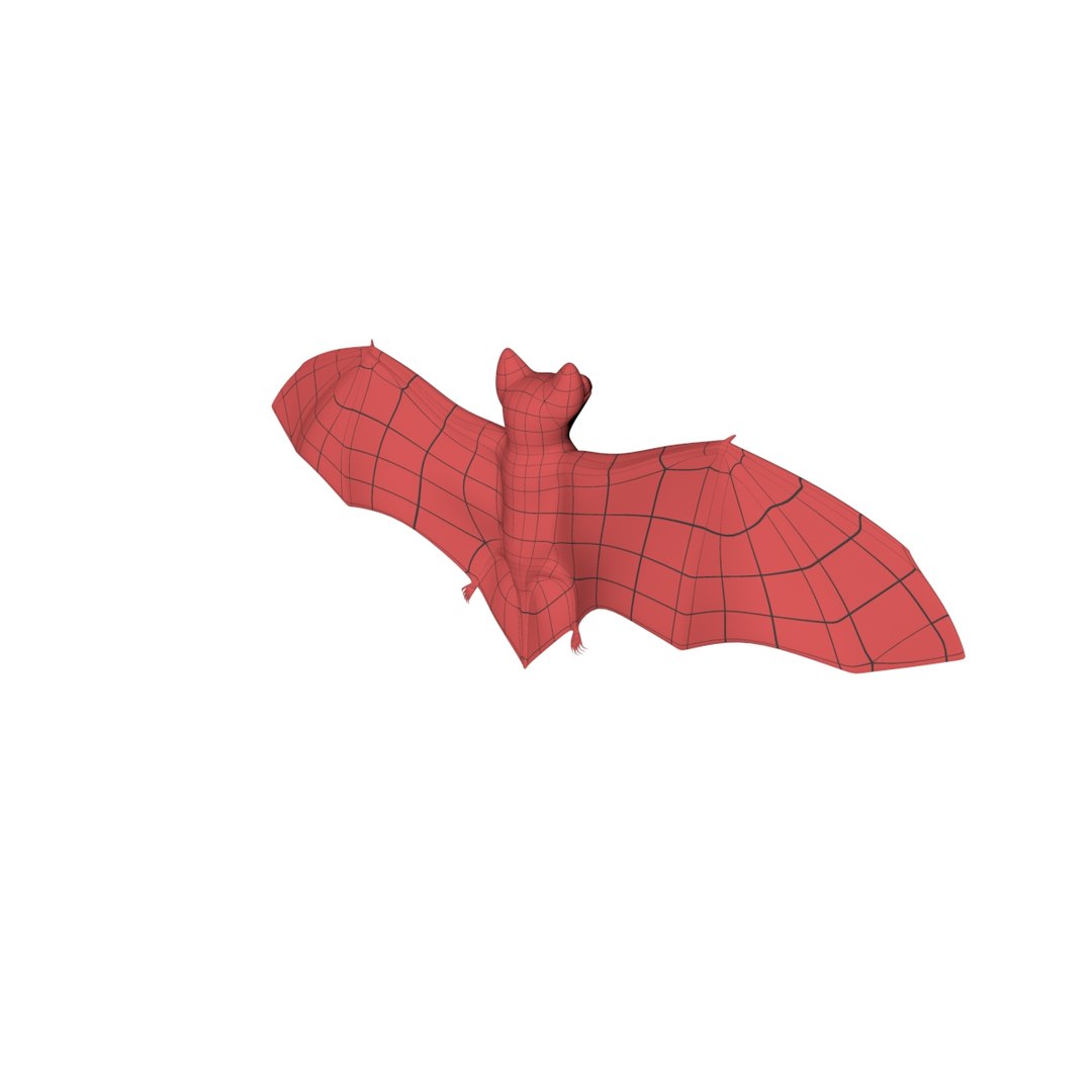3d Model Of Base Mesh Bat