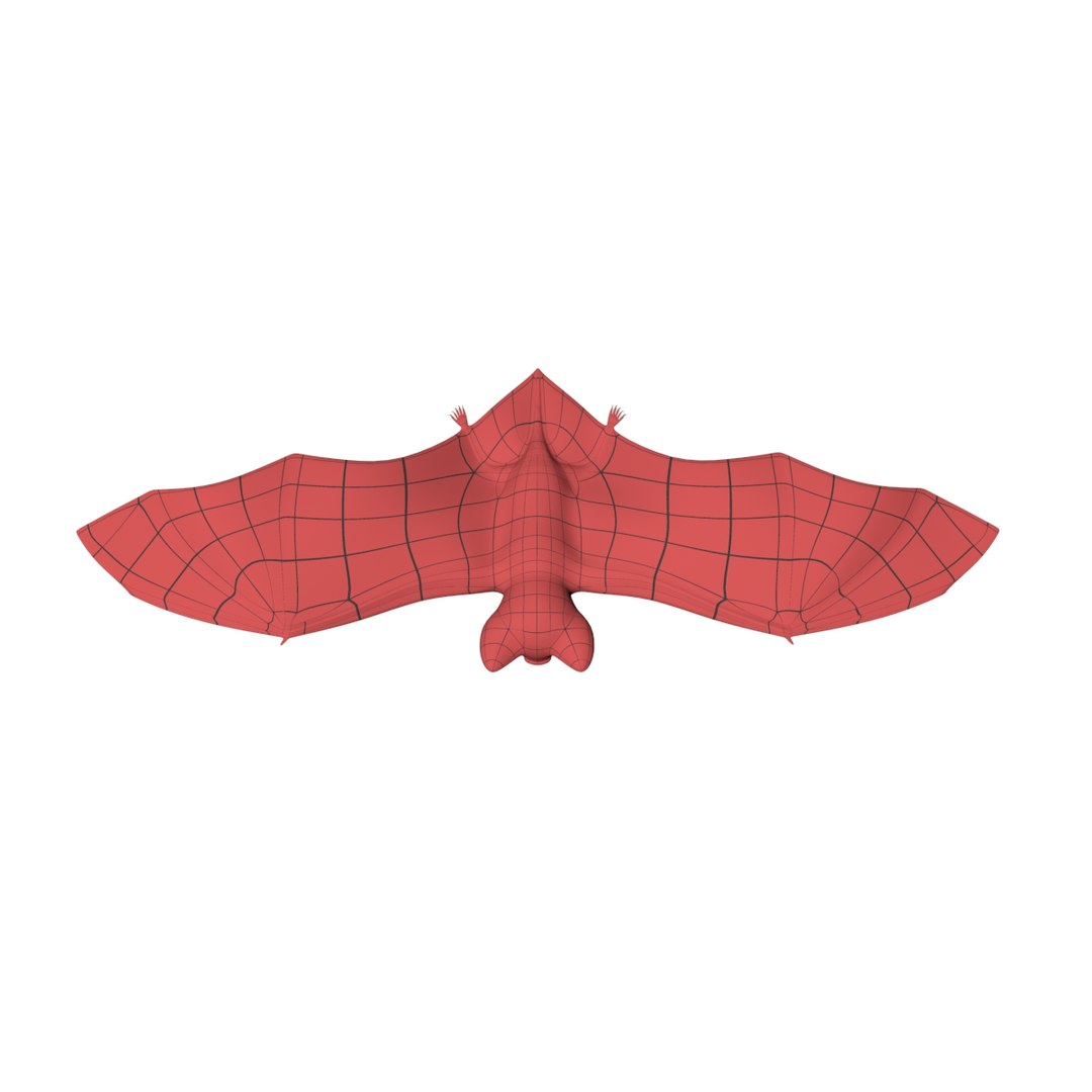3d Model Of Base Mesh Bat