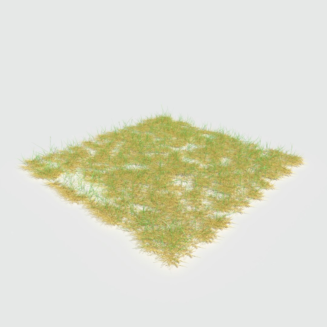 3D Pbr Daisy Meadow Patch Model - TurboSquid 1514477