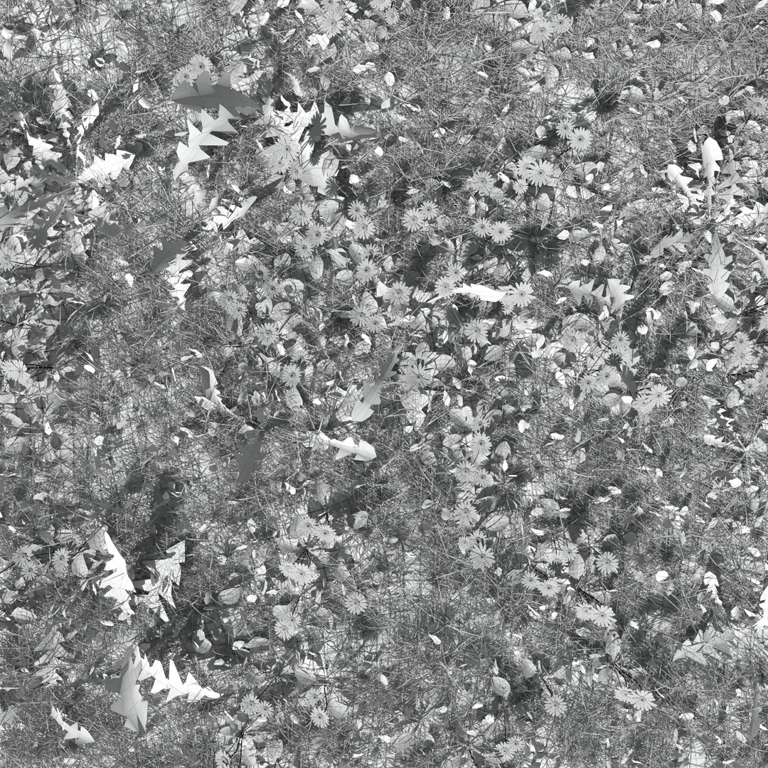 3D Pbr Daisy Meadow Patch Model - TurboSquid 1514477