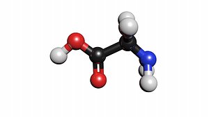 glycine molecule structure 3d model