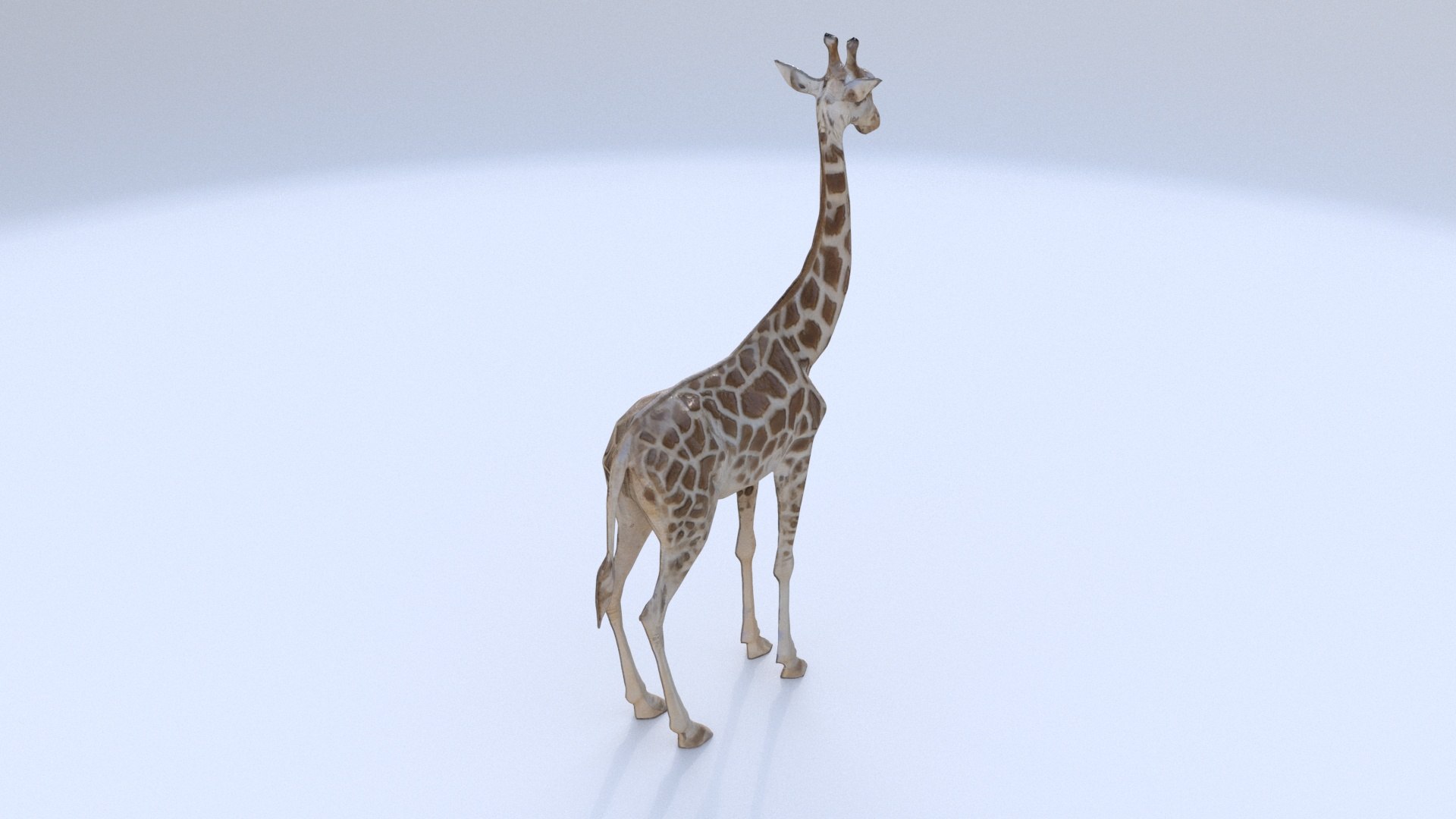 3D Giraffe - TurboSquid 2334994