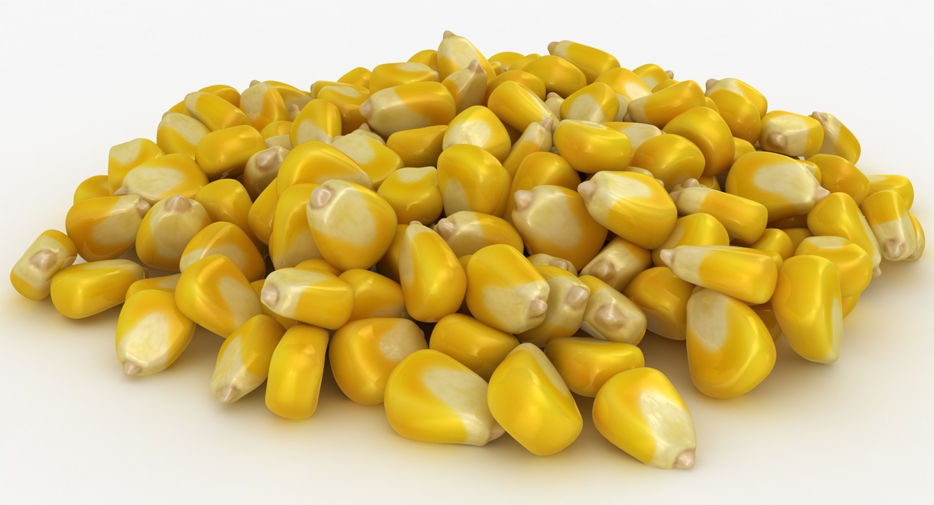 3D Realistic Corn Seeds Model - TurboSquid 1192385