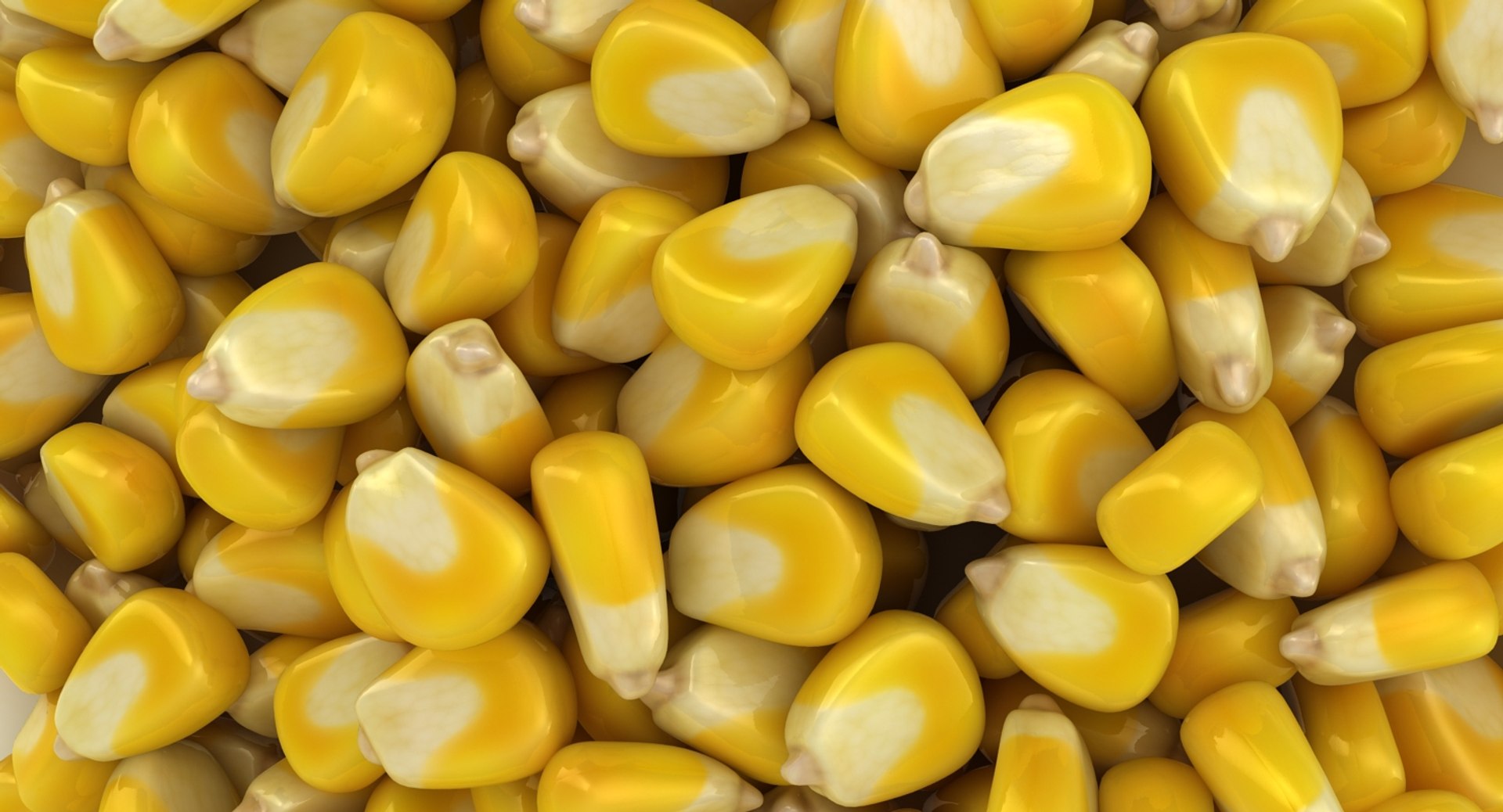 3D Realistic Corn Seeds Model - TurboSquid 1192385