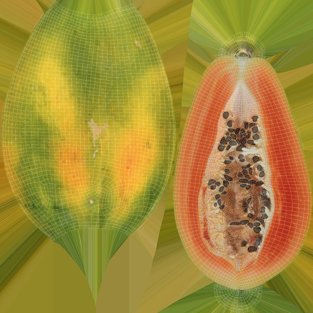 Papaya Collection Model - TurboSquid 2154696