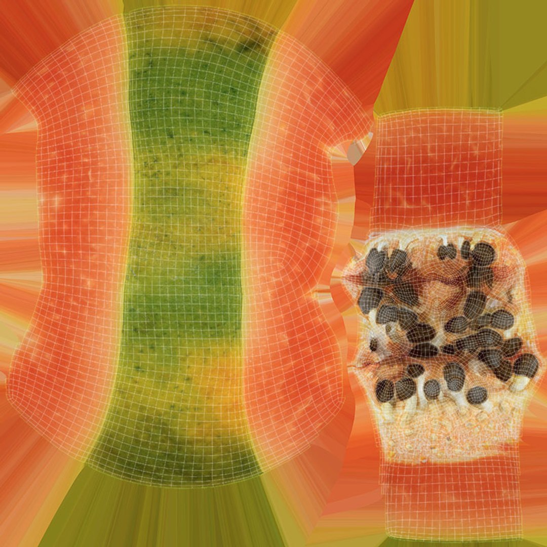 Papaya Collection Model - TurboSquid 2154696