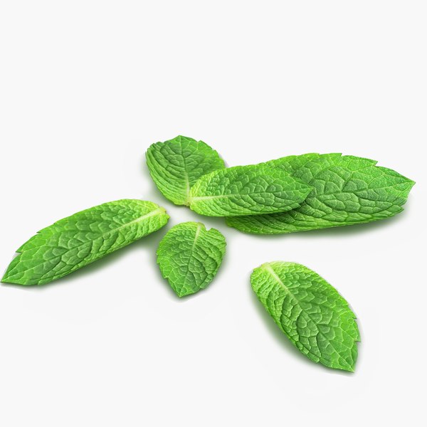 3D Mint leaf - TurboSquid 2049382