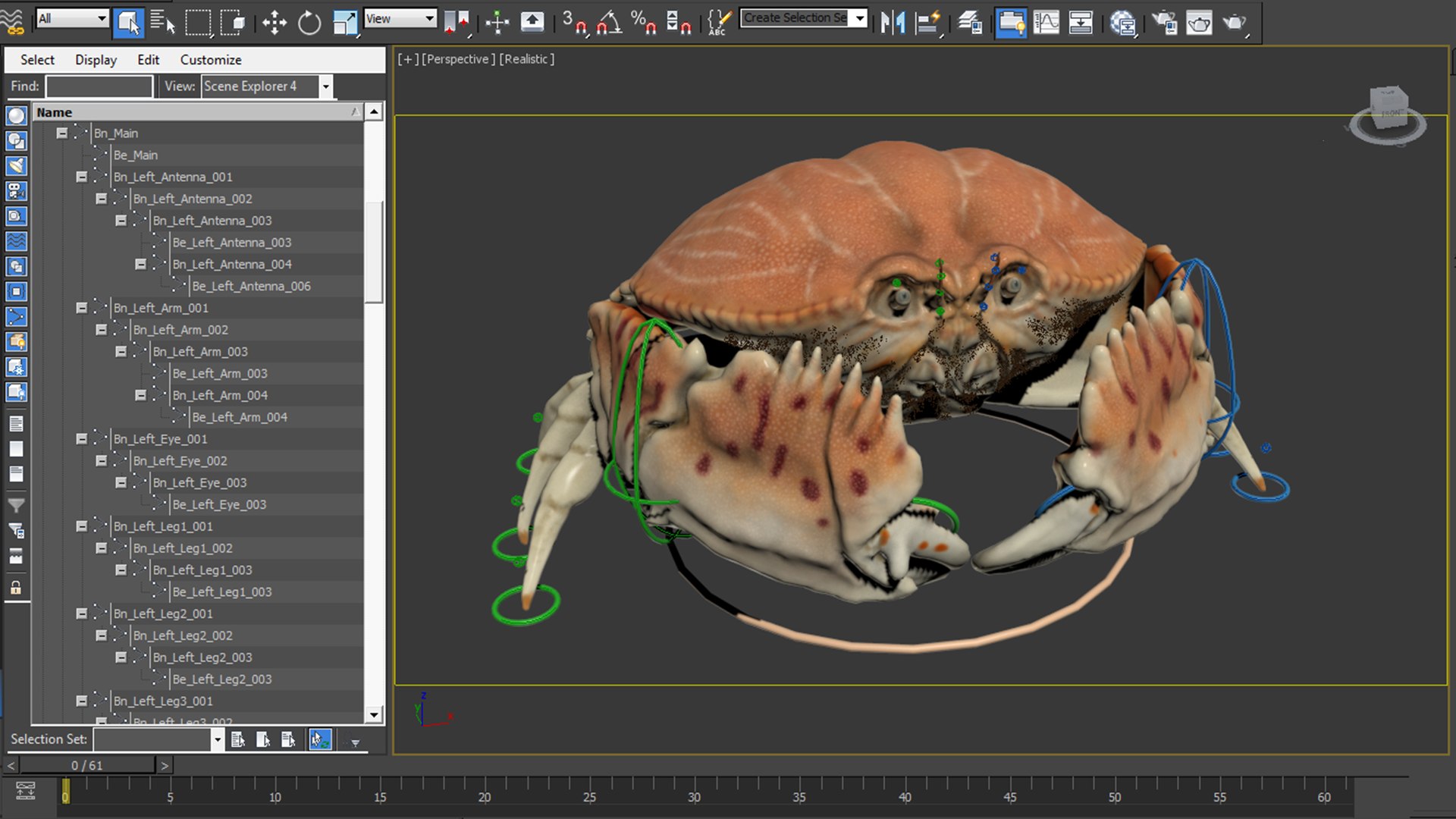 3D Common Box Crab - Animated - TurboSquid 1750455