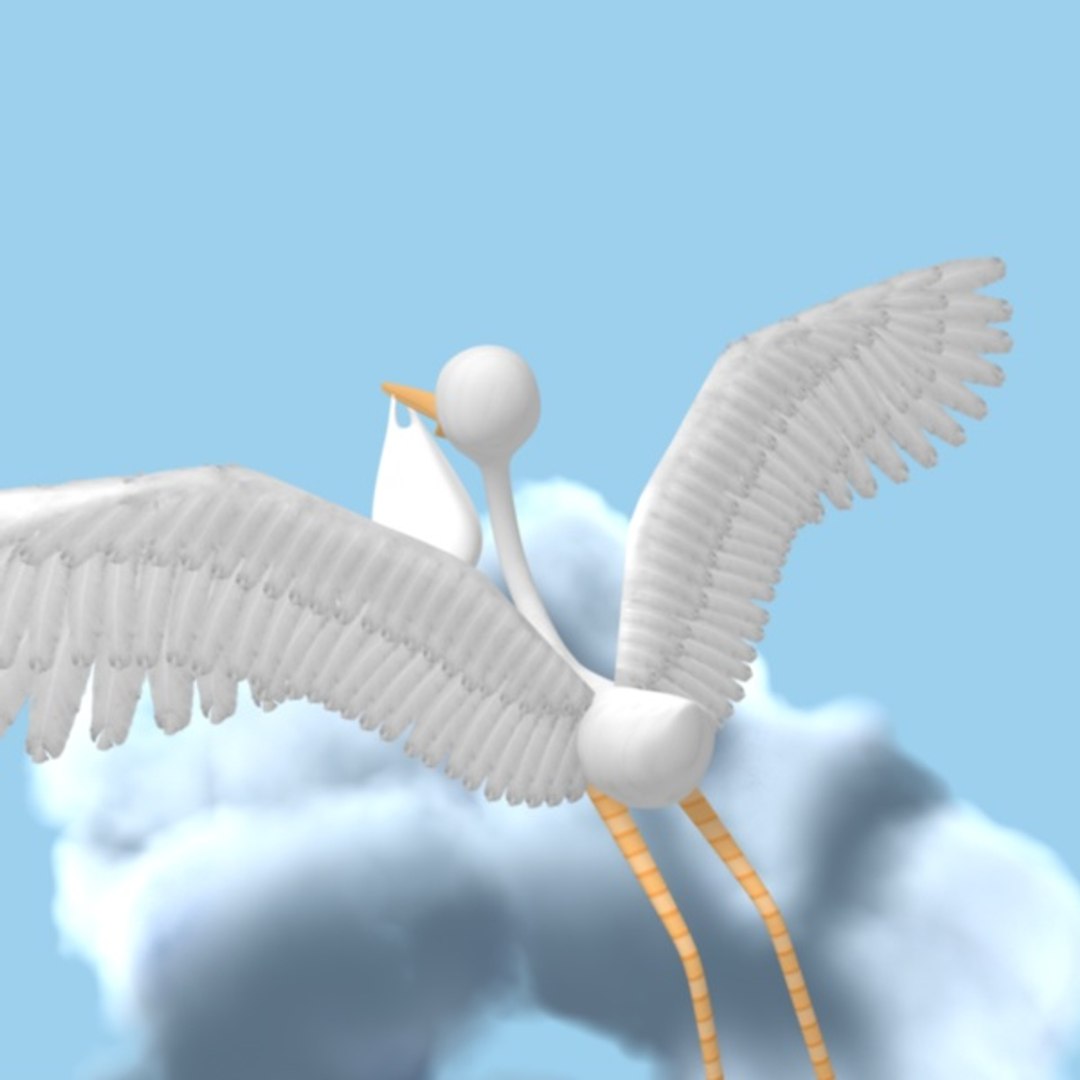3d model stork clouds